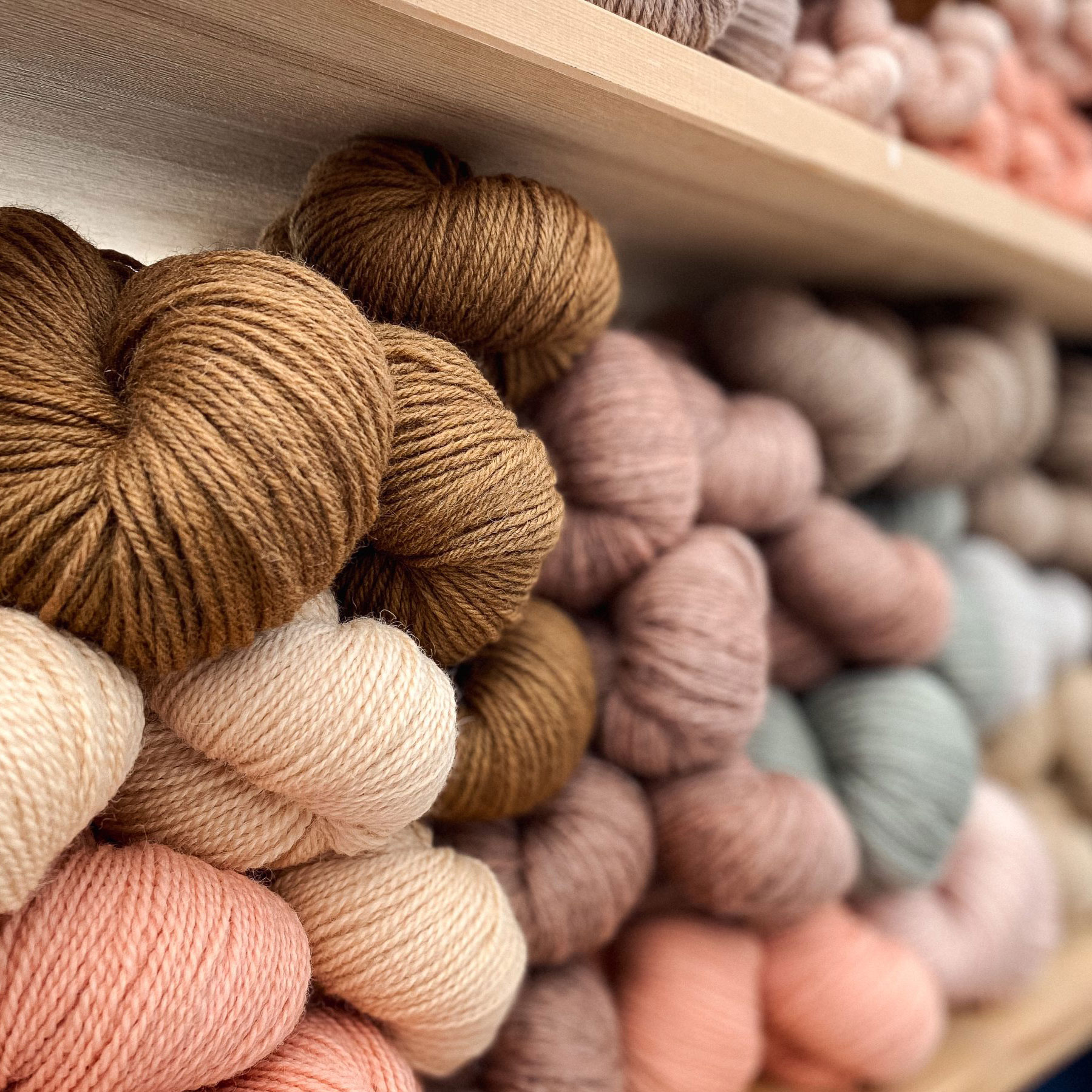 Annabel Williams | Responsibly sourced wool, naturally hand dyed